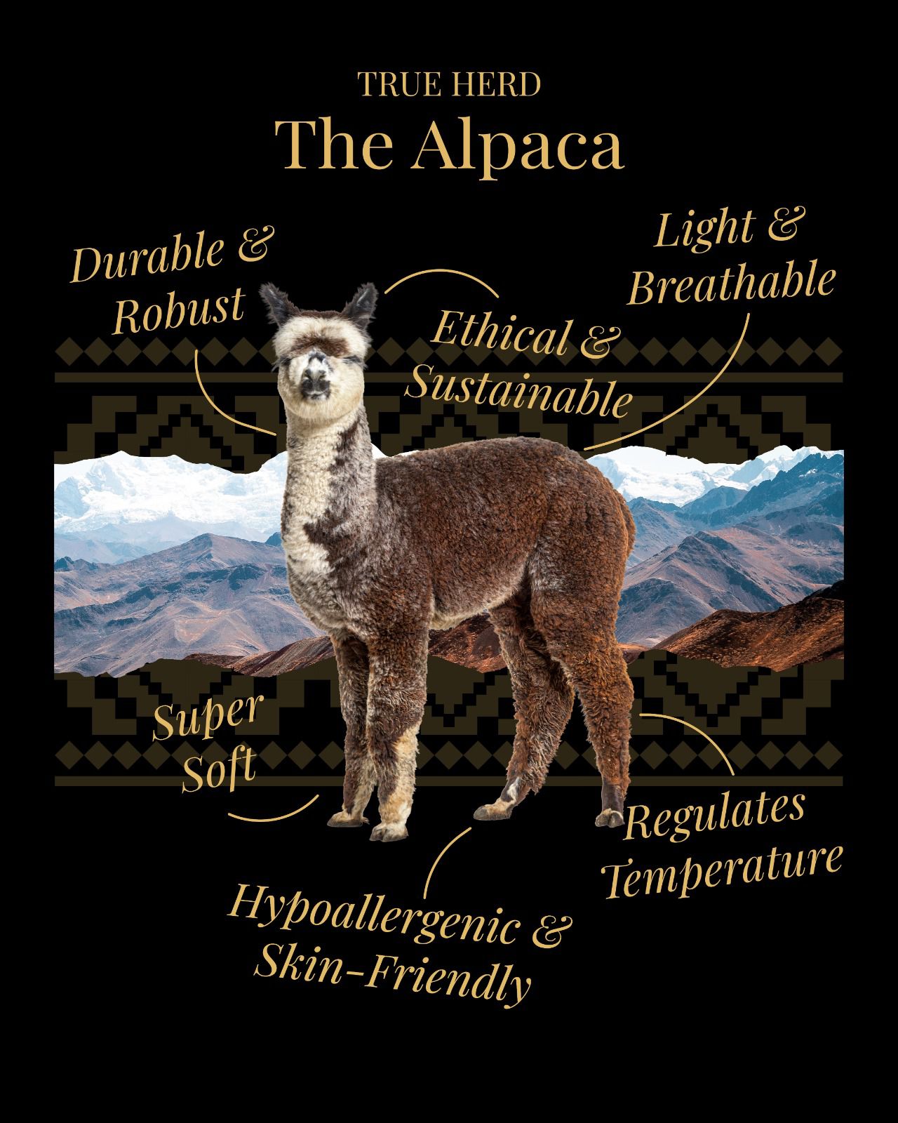 Why Alpaca Wool Is One of the Most Sustainable Fabrics You Can Choose ...